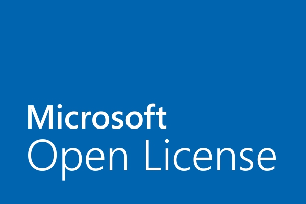 MICROSOFT Win Server CAL 2019 OLP NL Acdmc User CAL (R18-05748 ...